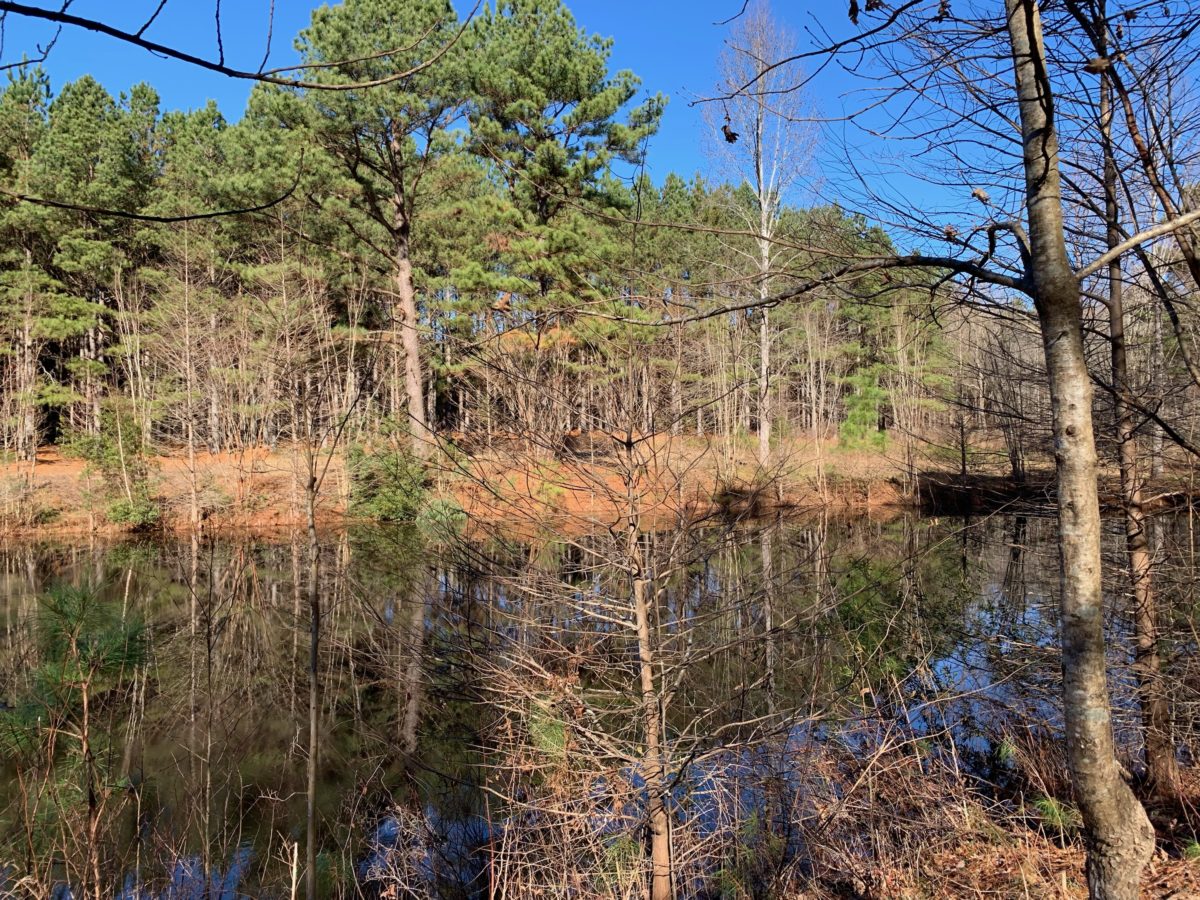 10.76 acres with spring fed clear water pond $183,900 | ROSSI Speaks